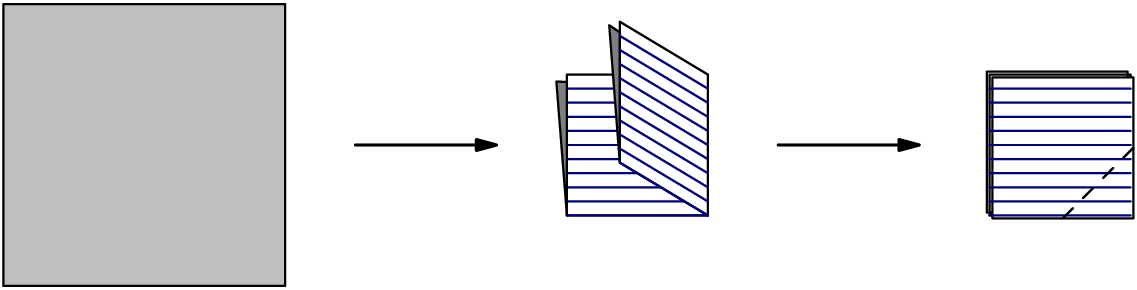 AMC 8 2023 – Ivy Learner